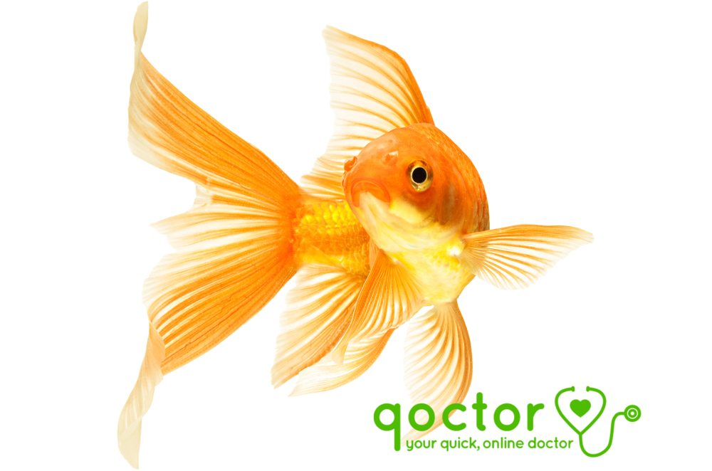 Metronide Prescription or Medication | Qoctor - your quick online doctor